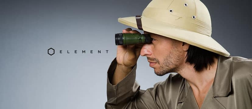 The Great Typo Hunt | ELEMENT