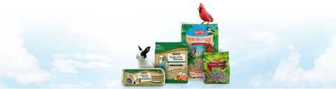 Brand Strategy Case Study | Kaytee Pet Coupon Campaign